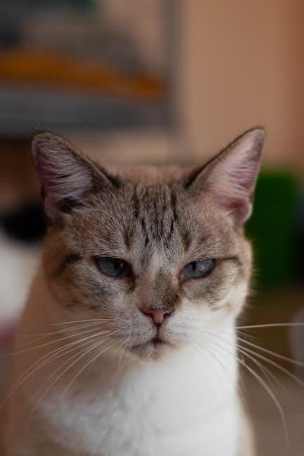 Cat Pancreatitis Chart PDF | Symptoms, Treatment, and Care Guide